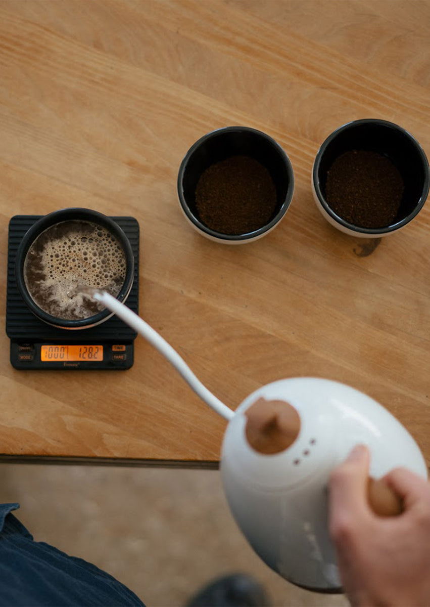 Brewista Artisan Électrique Blanc 900 ML – Sunday Collab